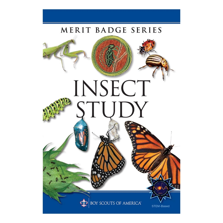 Scouts BSA Insect Study Merit Badge Pamphlet | Scouting America