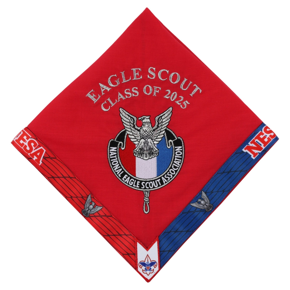 National Eagle Scout Association (NESA) Eagle Scout Class of 2025 ...