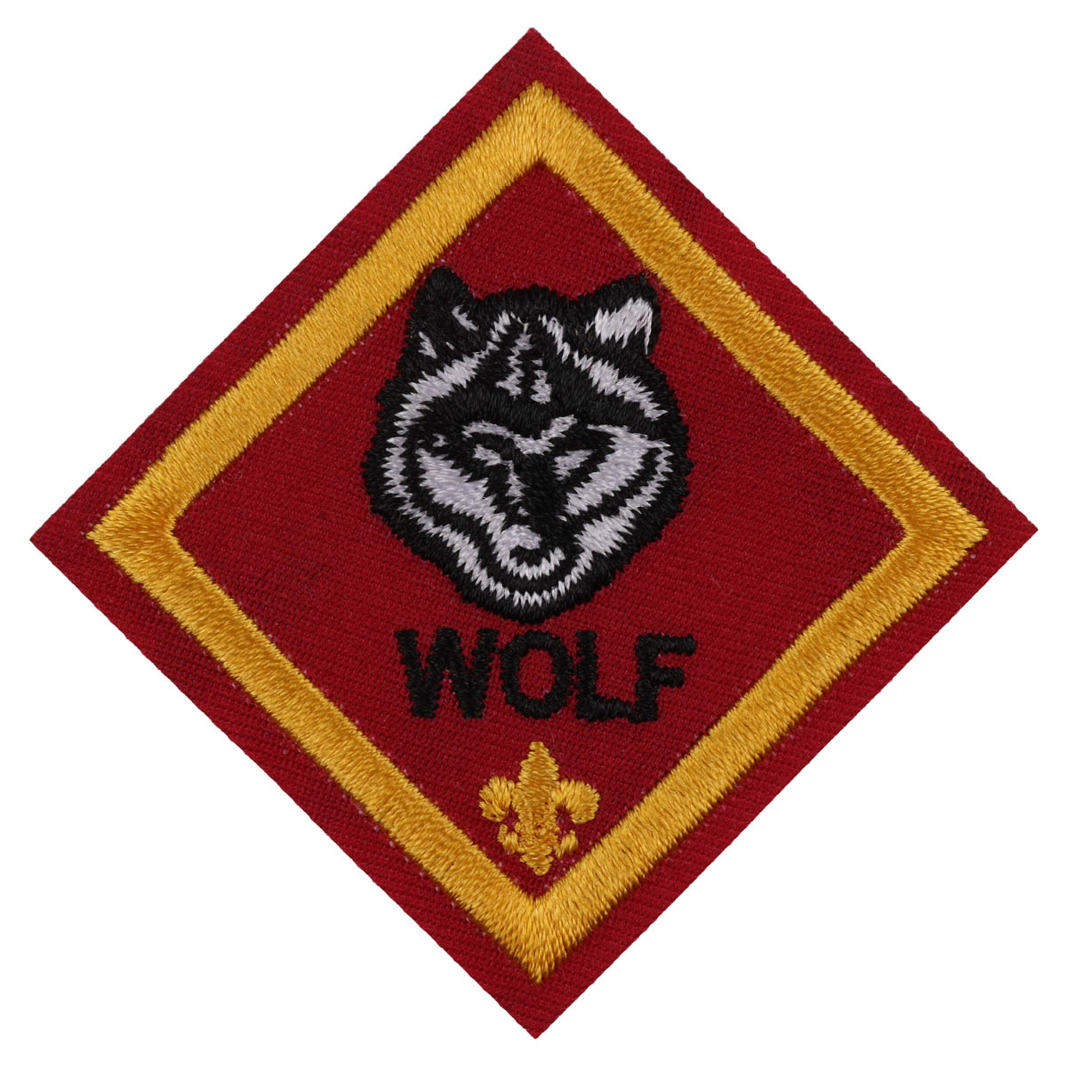 Running With The Pack Wolf Cub Scouts