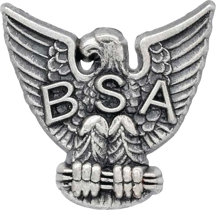 Eagle Scout Mom Pin