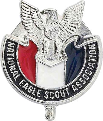 Eagle Scout Pin